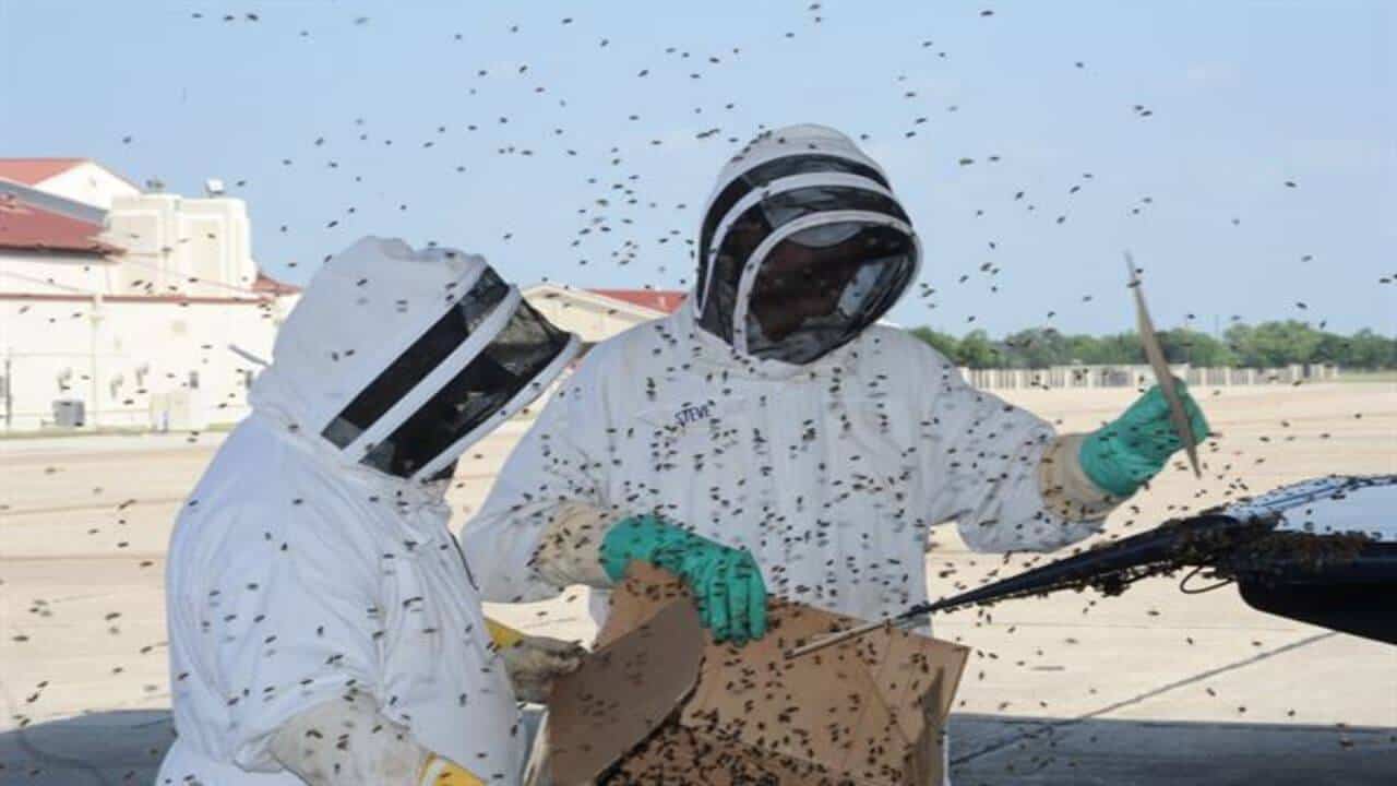 Palm City Pest Control - ProControl Termite and Pest Control